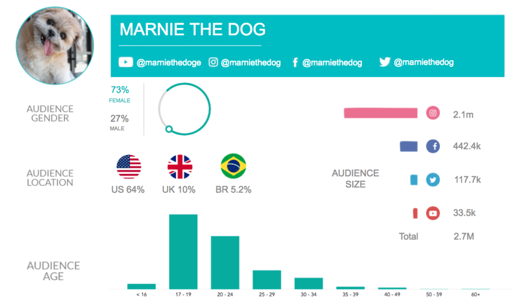 Top Dogs on Social Media | NeoReach | Influencer Marketing