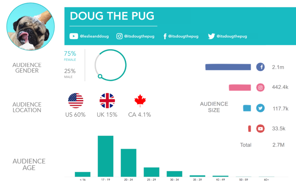Top Dogs on Social Media | NeoReach | Influencer Marketing